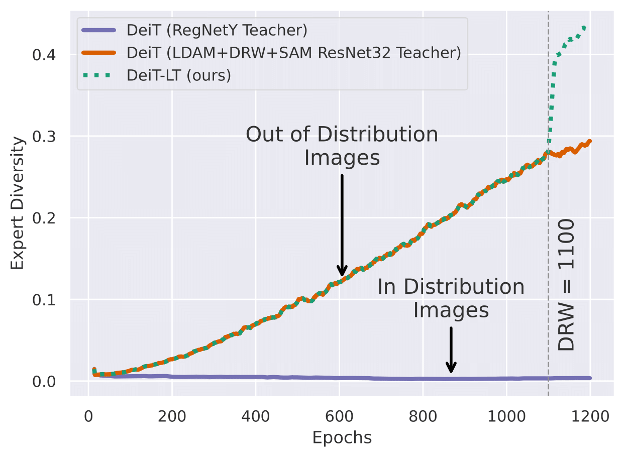 DeiT-LT